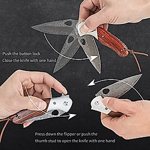 STANBIK Damascus Pocket Knife with Sheath,3.1 inch Damascus Steel Folding Knife，Sandalwood Handle,EDC Pocket Knives for Hiking Camping.