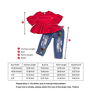 NZRVAWS Baby Girl Clothes 18 Months Toddler Clothing Infant Jeans for Kids 24 Months Ruffle Outfits Fall Winter Shirt Tops + Floral Denim Jeans Pants