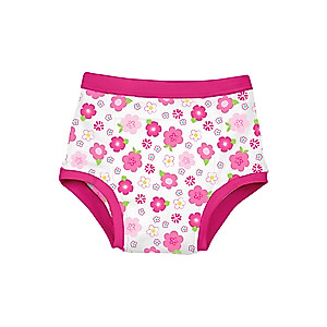 Reusable Absorbent Training Underwear-Hot Pink Floral-4T