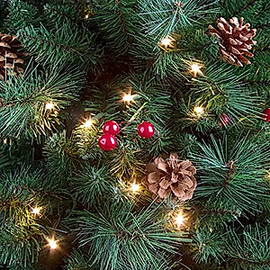 Dazzle Bright 40FT 200 Count Christmas Mini String Lights + 360 LED 12FT x 5 FT Christmas Net Lights