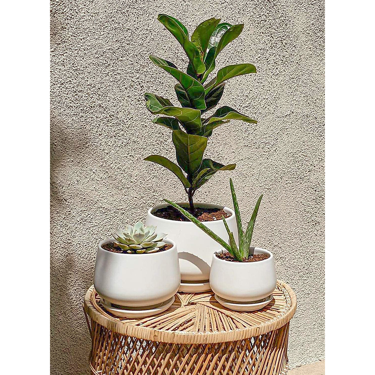LE TAUCI Ceramic Plant Pots, 4.1+5.1+6.5 inch, Set of 3, Planters with Drainage Hole and Saucer, Indoor Flower Pot with Hole Mesh Pad, Gifts for Mom, White