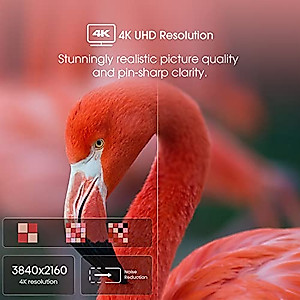 Hisense 65-Inch Class A6 Series 4K UHD Smart Google TV with Alexa Compatibility, Dolby Vision HDR, DTS Virtual X, Sports & Game Modes, Voice Remote, Chromecast Built-in (65A6H),Black