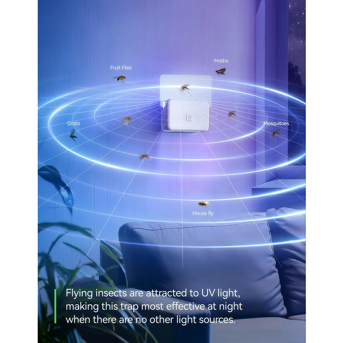 Cube-Shaped UV Light Fruit Fly Trap Sleek Design Plug-in Fly Trap for Flies, Fruit Flies (2 Device with 10 Refill Cards)