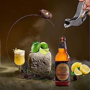 OGWSRK Elegant Bird shaped Stainless Steel Manual Lemon Juicer and Lime Extruder, Manual Lemon Juicer, Stainless Steel Fruit Juicer Portable Lemon Citrus Bird Lemon Juicer Kitchen Gadget Manual Lemon Juicer Silver (2 pieces)