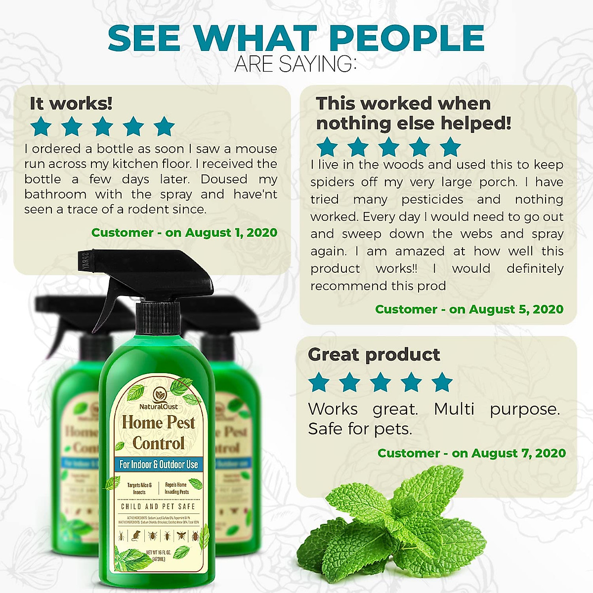 NATURAL OUST Peppermint Oil Mouse Repellent Spray - Roach Ant Spider Bug Insect Killer - Eco Friendly Pest Control to Repel Mice - Humane Repeller Alternative to Trap