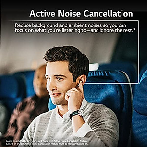 LG TONE Free True Wireless Bluetooth FP9E - Active Noise Cancelling Earbuds with UVnano Charging Case, Haze Gold