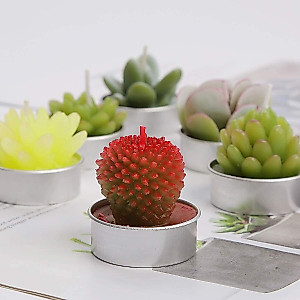 LJQizn 6pcs Cactus Tealight Candles Handmade Delicate Succulent Cactus Candles Tea Lights Perfect for Birthday Party Wedding Spa Home Decor Gifts (6pcs Cactus Candles)
