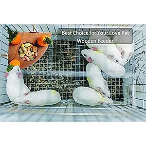 CooShou Hamsters Feeder Bowl Small Animals Guinea Pigs Corner Wooden Feeder Dishes with 3pcs Carrots Cage Feeder for Guinea Pigs, Hamster, Chinchilla Hedgehog Gerbil