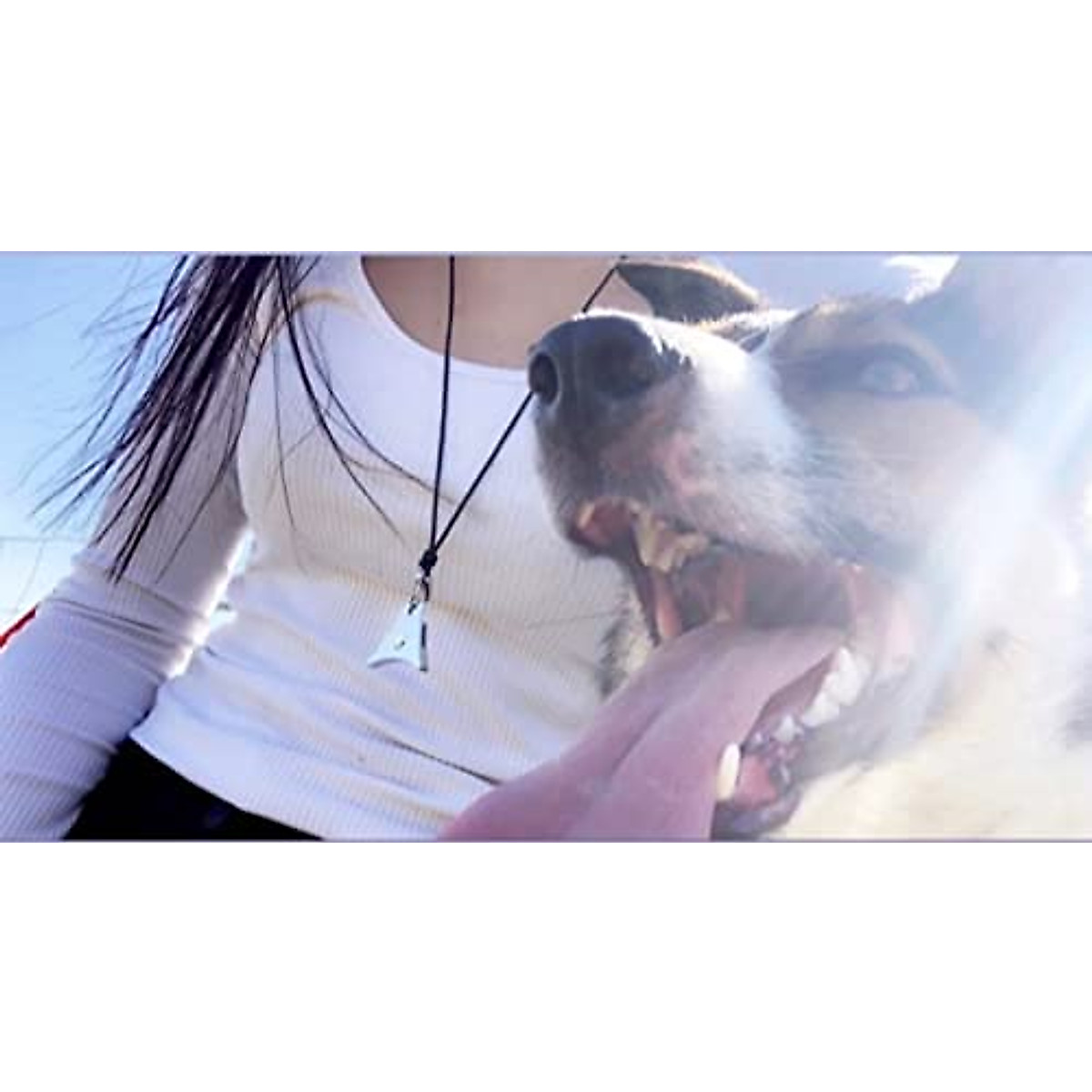 Logan Whistle Starter Pack - A1 sheep dog Whistle, lanyard and whistle command sound guide