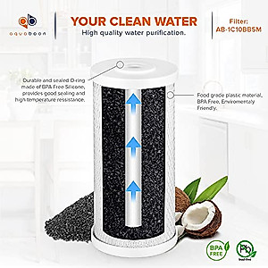 Aquaboon Universal Whole House 5 Micron 10 x 4.5 inch Cartridge | Coconut Shell Water Filter Cartridge | Activated Carbon Block CTO | Compatible with WFHDC8001, CB-10, EPM, EP 2-PACK