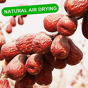 16 Oz Organic Dates Dried, Medjool in resealable bags, Red Dates/Sweet Jujube/Sugar Hong Zao, Vegan Grocery & Gourmet Food Snack Foods Dried Fruit (1 Lbs)