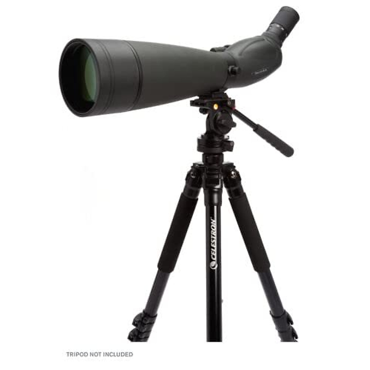 Celestron TrailSeeker 100 - 45 Degree Spotting Scope with SmartPhone Adapter Bundle (2 Items)