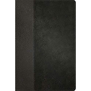 NLT Personal Size Giant Print Bible, Filament-Enabled Edition (LeatherLike, Black/Onyx, Indexed, Red Letter): Includes Free Access to the Filament ... Notes, Devotionals, Worship Music, and Video