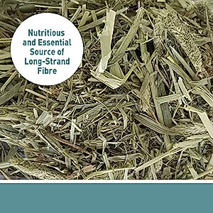 Living World Timothy Hay, 20-Ounce