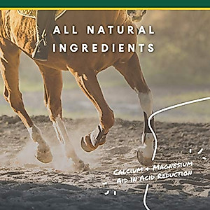 Corta-Flx U-Gard Pellets |All Natural Equine Digestive Supplement to Maintain Gastric Health | Helps Prevent Ulcer Formation | 10 LB