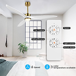 WINGBO 60 Inch DC Ceiling Fan with Lights and Remote Control, 3 Reversible Carved Wood Blades, 6-Speed Noiseless DC Motor, Modern Ceiling Fan in Brass Finish with White Blades