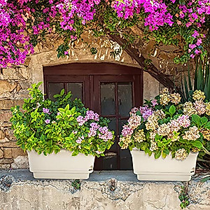 Amazing Creation Self Watering Planters Rectangular Planter Box, Windowsill Garden Bed, Planters for Outdoor Plants, Planters for Indoor Plants, Flowers, Herbs, Succulents, Beige, (2 Pack)