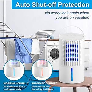 Dehumidifier,Lonxfy 36 oz Dehumidifier for Bedroom Small Dehumidifier for Bathroom RV Closet Portable Quiet Home Dehumidifiers