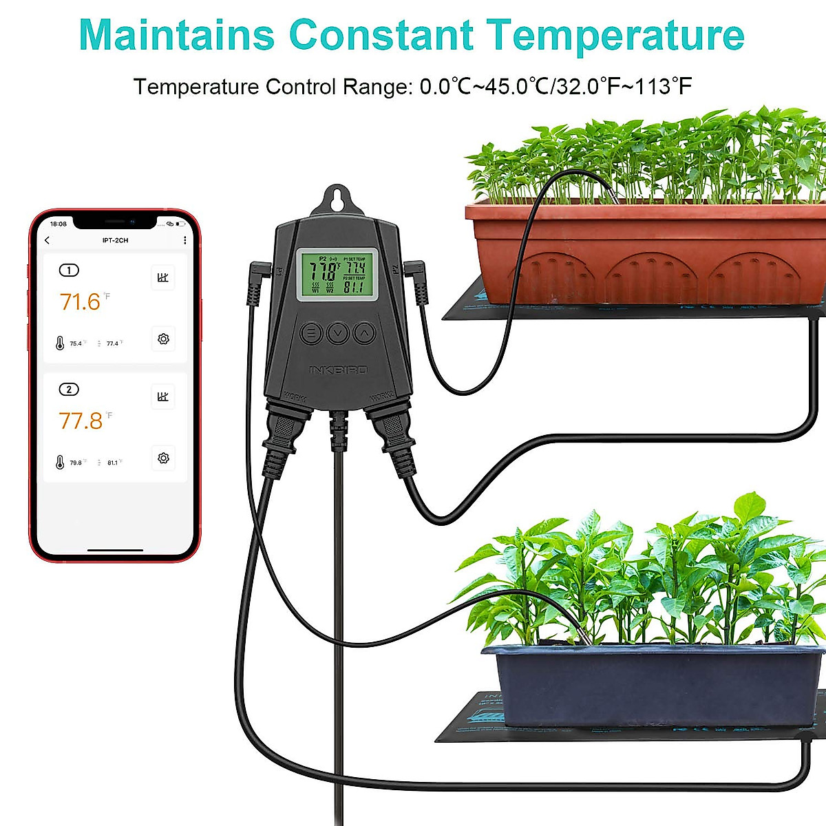 Inkbird WiFi Heat Mat Reptile Thermostat Controller Temperature Controller with 2 Probes and 2 Outlets, IPT-2CH Reptiles Heat Mat Thermostat (Max 250W per Outlet)
