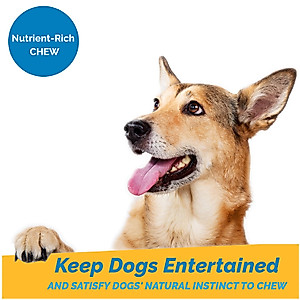 123 Treats 6 Inch Beef Collagen Sticks for Dogs - Rawhide Free Long Lasting Dog Collagen Chew Treats - Collagen Dog Chew Sticks for Large Dogs - 10 Count