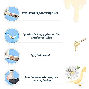 Wound Care for Dogs, Cats & Horses by L-mesitran. Medical Honey Soft Gel for Animals Veterinary Ointment with Anti-inflammatory Properties First Aid for Cuts, Scrapes and Bites 0.5oz (15g) Hope Series