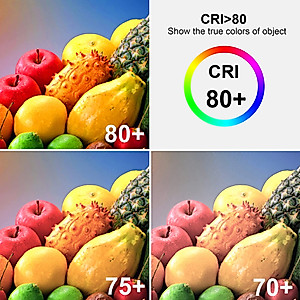 JUNSHI G9 LED Bulb 2.5W(20W 25W Halogen Equivalent) 3000K Warm White 210 Lumens Non-Dimmable AC110-130V LED Light Bulb for Ceiling Light,Pack of 10