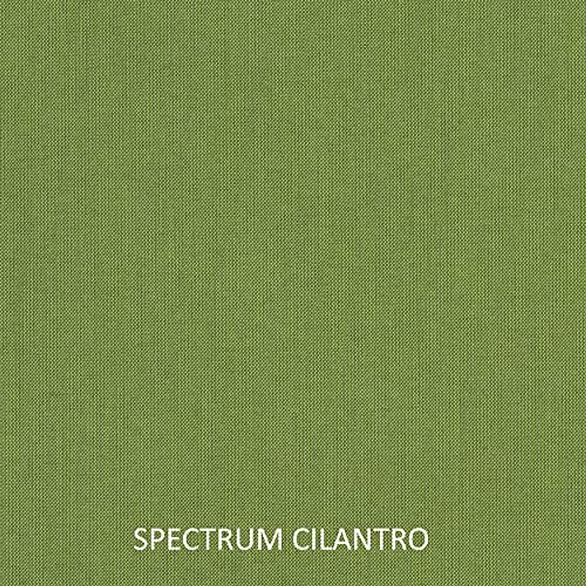 Mozaic Home Sunbrella Bristol Bench Cushion, 48 in x 17 in x 2 in, Spectrum Cilantro