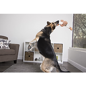 goDog Checkers Skinny Rooster Squeaky Plush Dog Toy, Chew Guard Technology - Brown, Large