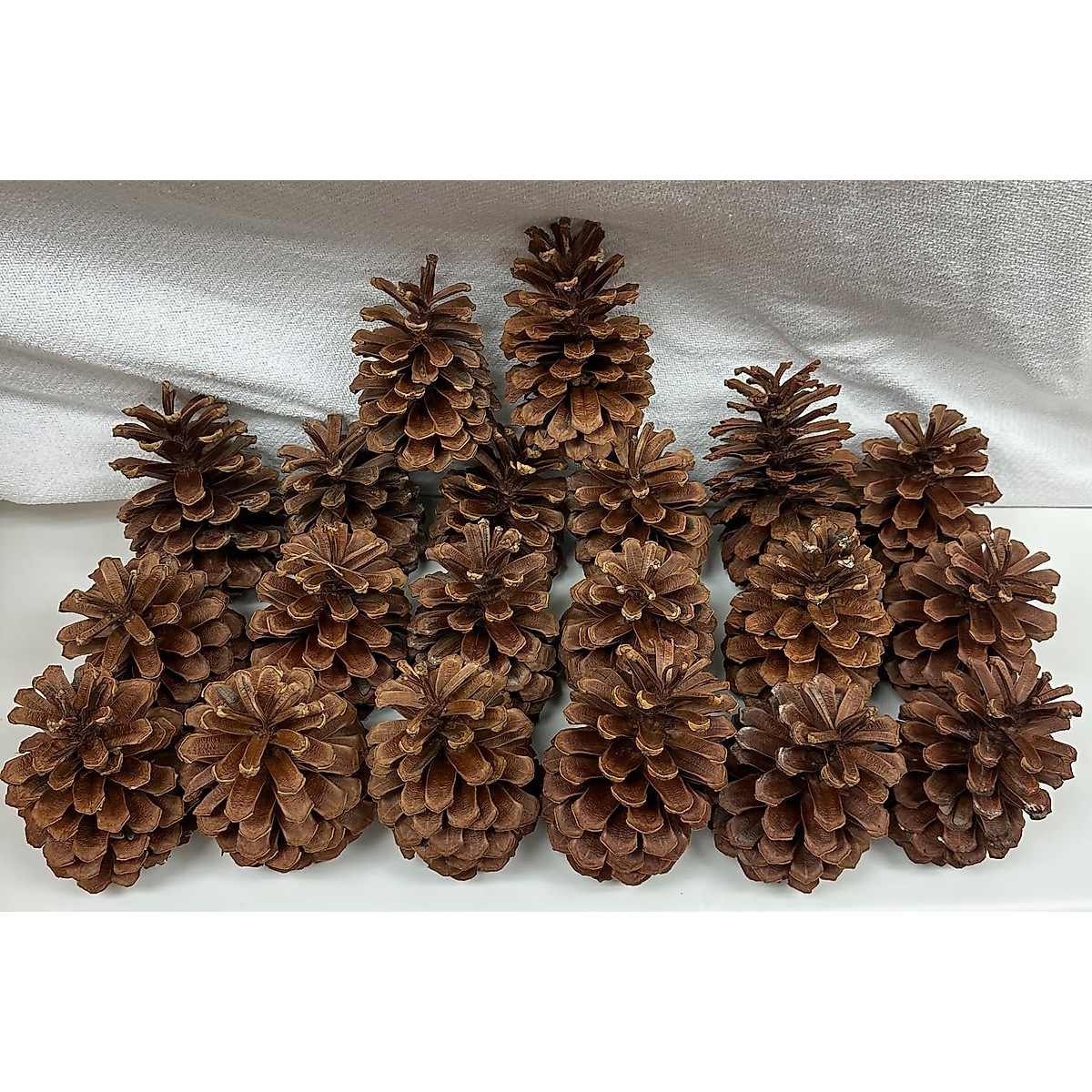 18-Pack Extra-Large (5 to 7 inch) Long Leaf Pine Cones for Decorating Home, Tables, Vase Fillers, Corporate Events, Crafts, Birdfeeders, Natural Pine Cone Holiday Ornaments. (unscented)
