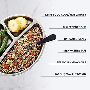 Avanchy Baby Toddler Plates with Suction Divided Stainless Steel for Feeding Babies Kids Toddlers Food, Large,Green