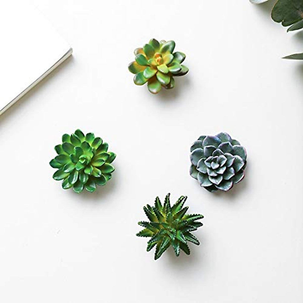 CoCoMe Funny 3D Resin Succulent Fridge Refrigerator Magnets, Set of 4