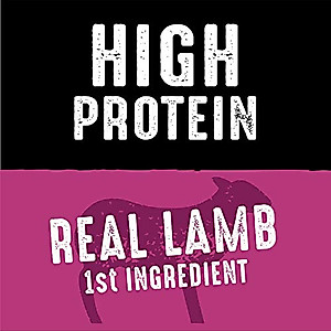 CRAVE Grain Free High Protein Adult Dry Dog Food with Lamb, 22 lb. Bag