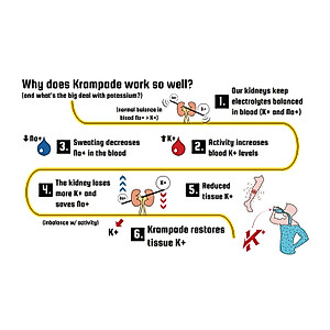 Krampade Electrolytes Powder Potassium Supplement - 4000 mg K+, >4X More Than Coconut Water | Instant Cramp Relief | Hydration Powder