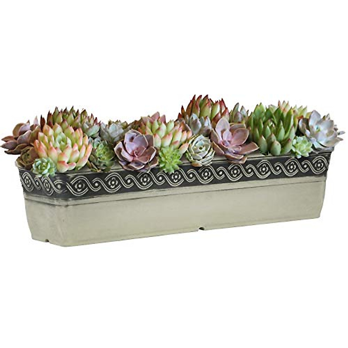 Classic Home and Garden 9418D-060 18" Corinthian Trough planter, Cast Concrete