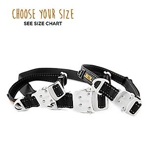 Mighty Paw Metal Buckle Dog Collar, All Metal Hardware, Lightweight Collar, Reflective Stitching, Strong, Durable (Medium, Black)