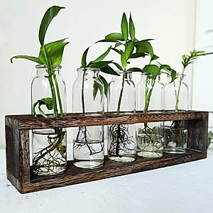 KatoonX Flower Vase Set with Wood Rack Plant Terrariums Kit for Hydroponics Plants Home Garden Wedding Centerpiece Decor (Rustic)