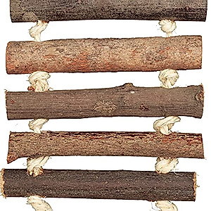 CEDAR ALPHA 4Pk 20" Natural Ladder, Hermit Crab,Bird Swing Ladder Chewing Toys Hanging,Pet Bird Cage Rodents Parakeet Ladder Bridge