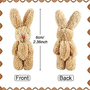 20 Pieces Mini Plush Rabbit Tiny Joint Rabbit 2.4 Inch Small Bunny Doll Soft Bunny Stuffed Animal Toys for Easter Birthday Cake Wedding Decorations Party Favors (Long Plush Style)