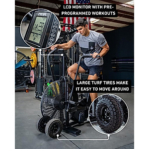 Fringe Sport Raptor Air Bike Classic, Adjustable Seat Fan Bike for Indoor and Outdoor-Exercise Bike with Arm Workout for Cardio Fitness, LCD and Phone Holder