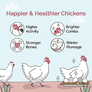 Mile Four | Layer Chicken Feed | Organic, Non-GMO, Corn-Free, Soy-Free, Non-Medicated Chicken Food | Adult Poultry, Roosters, Chickens, Ducks, Geese & Gamebirds | 16% Protein | Whole Grain | 23 lbs.