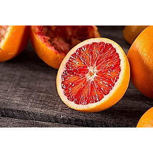 juicyodle Rare Dwarf Blood Orange Tree Plant Seeds for Planting - 30 Seeds (30, Blood Orange)