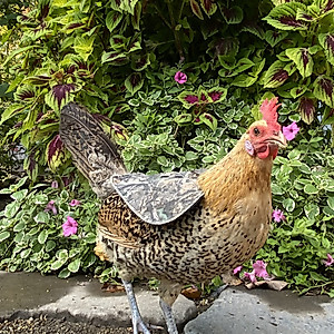 The Chicken Chick® Hen Mating Saddle Skinny / Medium