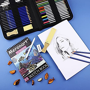 DIPAWS 54 Pack Drawing Set Sketching Kit, Pro Art Supplies with 2 Sketchbook, Include Colored, Graphite, Charcoal, Watercolor & Metallic Pencil, for Artists Adults Teens Beginner