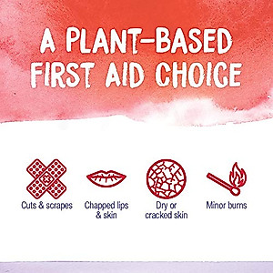 Boiron Calendula Ointment for Relief from Minor Burns, Cuts, Scrapes, and Insect Bites - 3 oz (3 Pack of 1 oz)