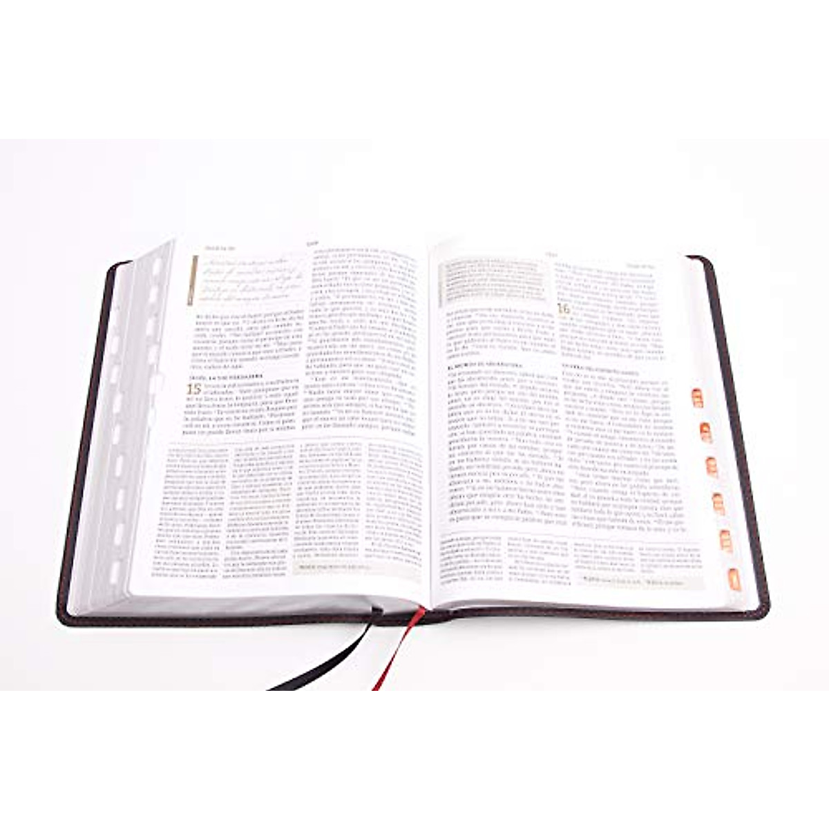 RVR 1960 Biblia de estudio Spurgeon, negro piel genuina con índice (Spanish Edition)