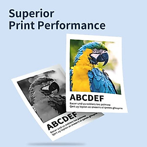 702XL Ink Cartridges Combo Pack Remanufactured Replacement for Epson 702 702XL T702 T702XL Ink Cartridges for Epson Printer Workforce Pro WF-3720 WF-3730 WF-3733 Printer Ink Cartridges 702 (4 Pack)
