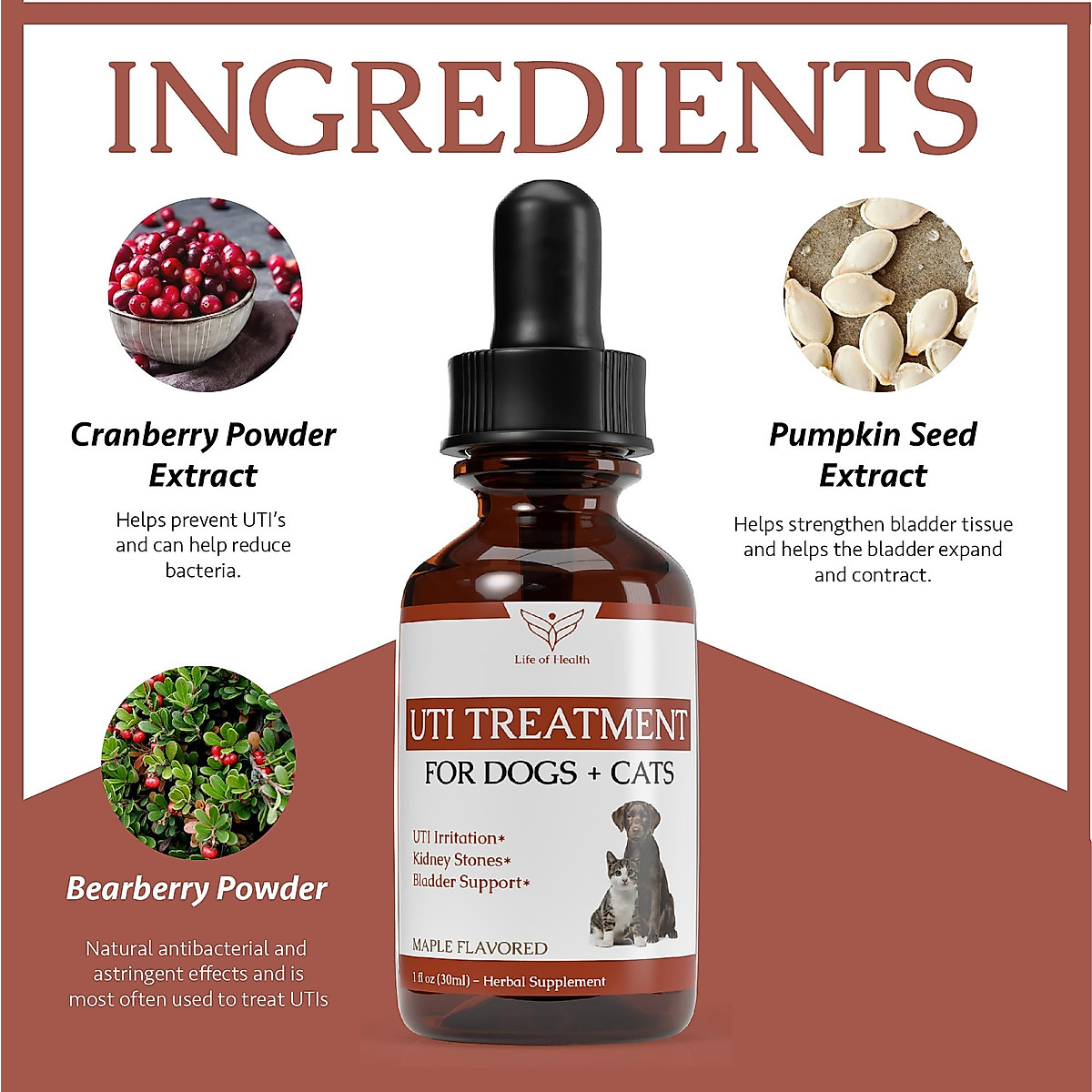 Cat & Dog Urinary Tract Infection Treatment - Helps with Bladder, Kidney, Incontinence, & More - Cat UTI - Dog UTI Treatment - Feline UTI Treatment - Cat UTI Remedy - Dog UTI - 1 fl oz