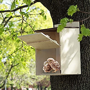 2 Pack Owl House, Wooden Large Size Owl Nesting Box for Screech Owl, Saw Whet Owl, Barn Owl, Barred Owl, Extra Durable with Wood shavings and mounting Parts, Quick and Easy Assembly Required