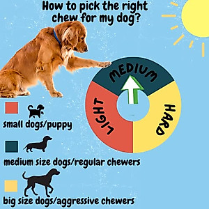 BULLYSTICKS & MORE 6 Inch Bully Sticks (Regular - 16 Pack) | Bully Sticks for Medium Dogs | 100% Grass Fed Beef | Dog Parents Choice Bully Stick Dog Chews | No Hide Bully Bones