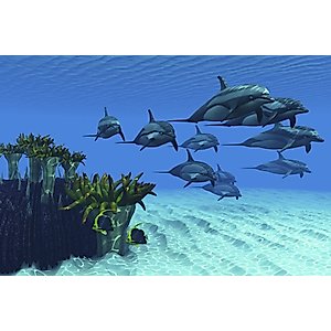 Posterazzi Two pennant fish scamper away as a pod of striped dolphins race Poster Print by a reef of anemones, (34 x 23)
